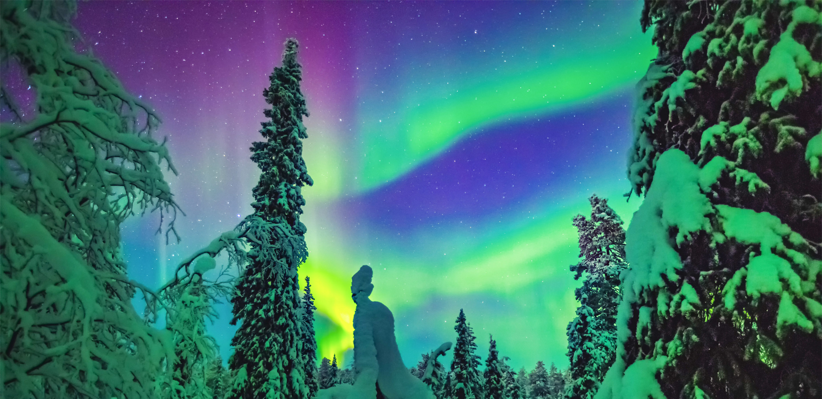 Weihnachten in lappländischer Idylle | Tuja Reisen